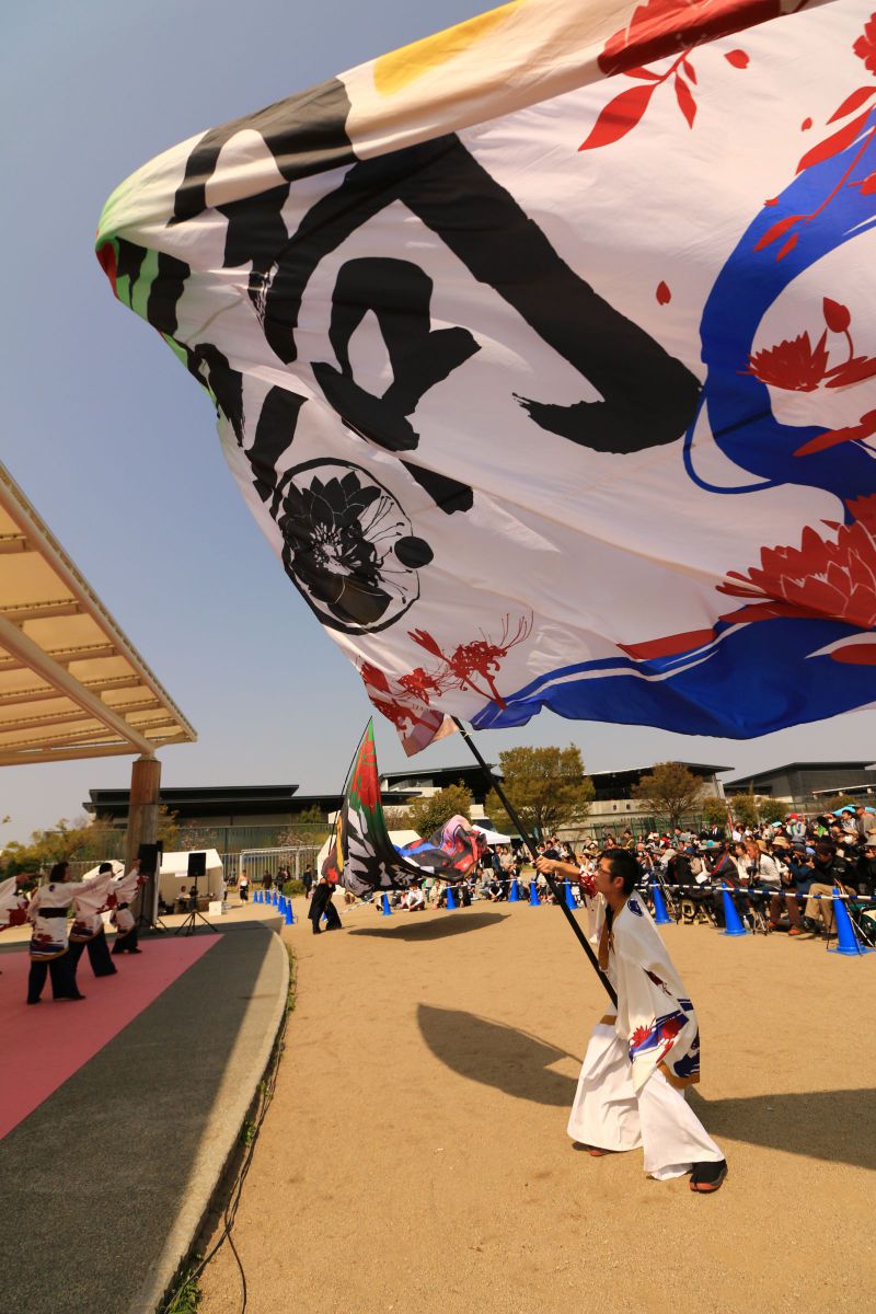 Show the flag | GANREF