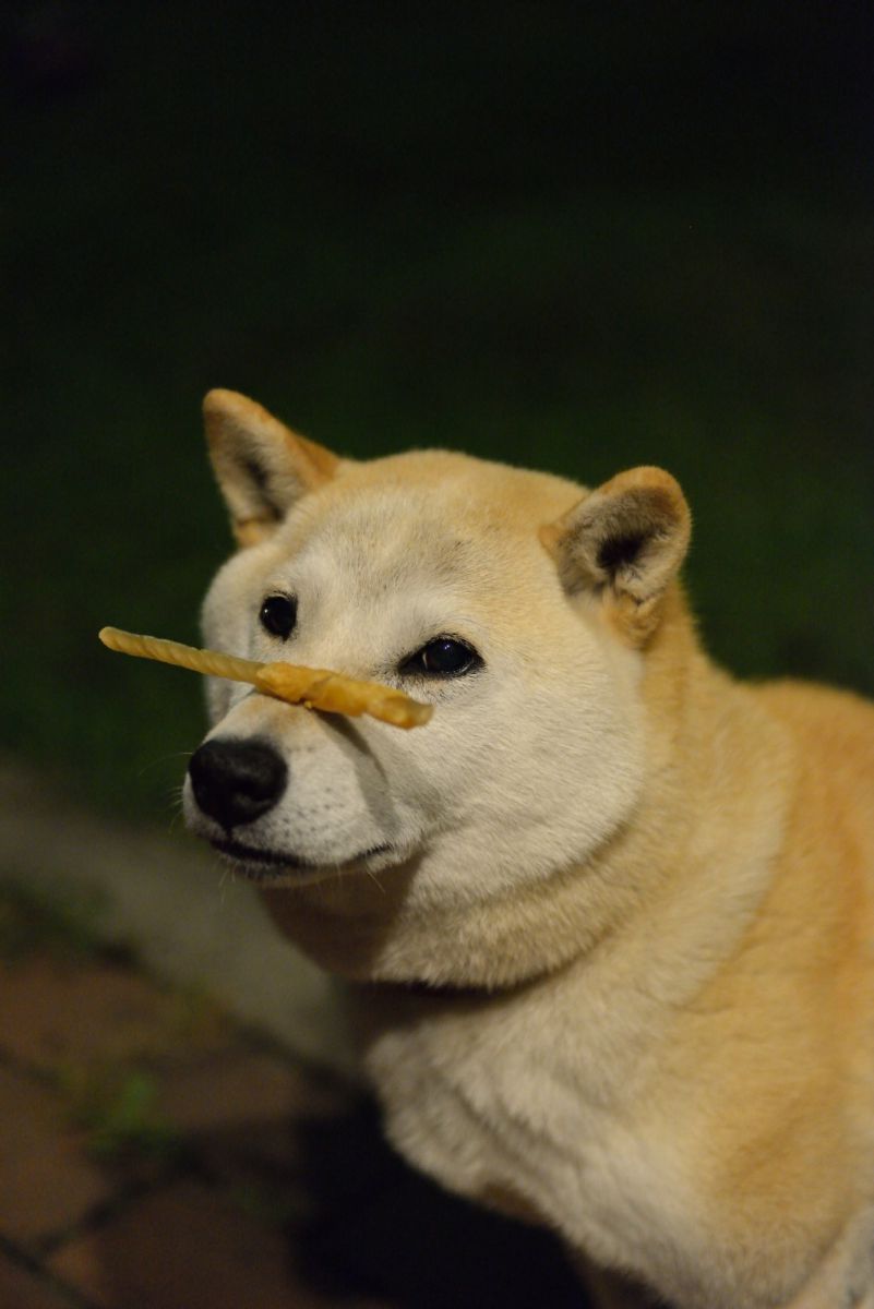 D600 First Shot | GANREF