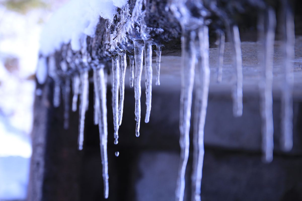 with rhythm. | GANREF