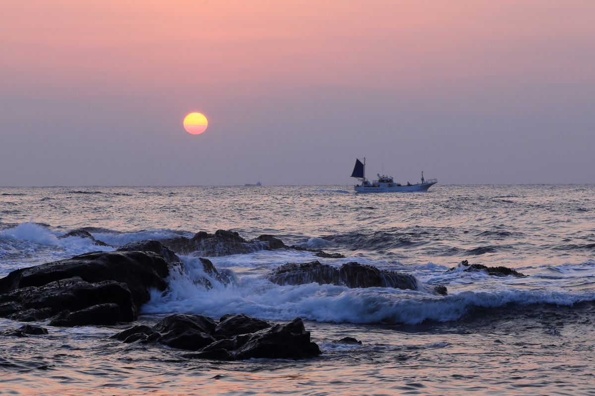 BGMはロック? | GANREF