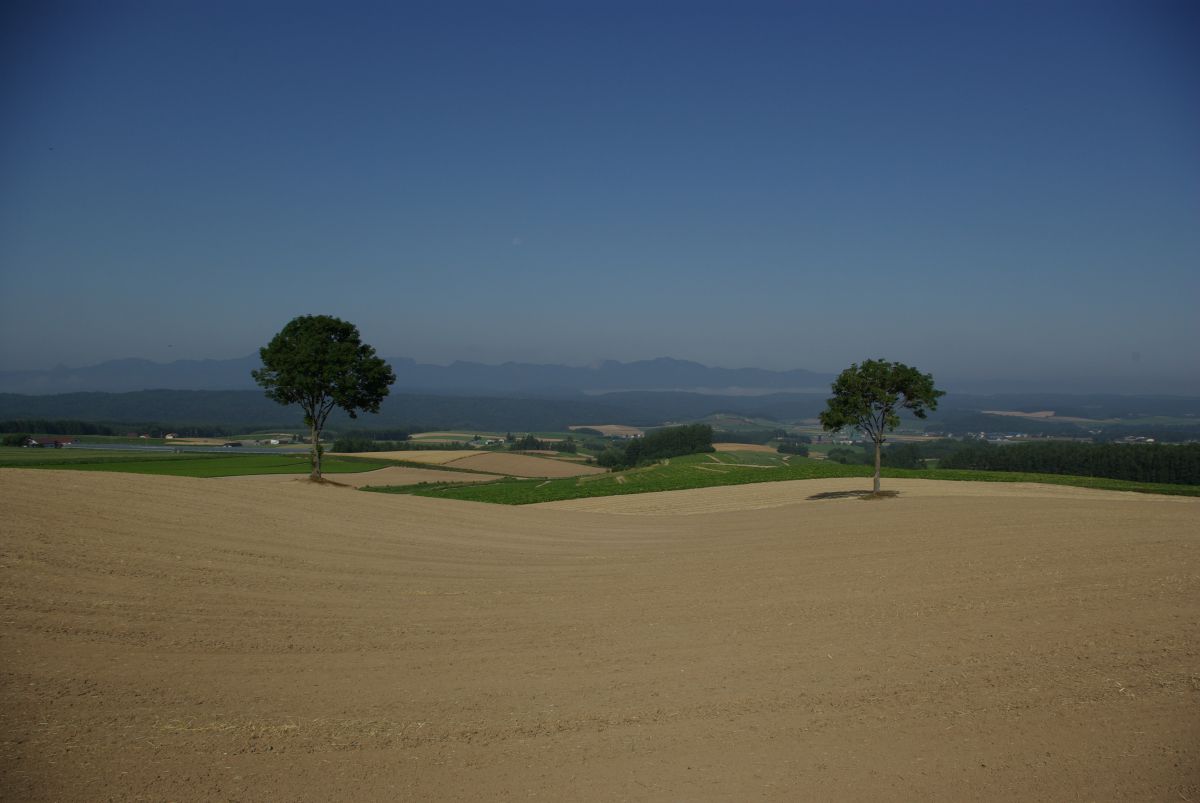 『恋のはじまり』 | GANREF