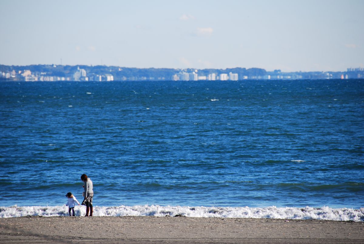 海辺にて | GANREF