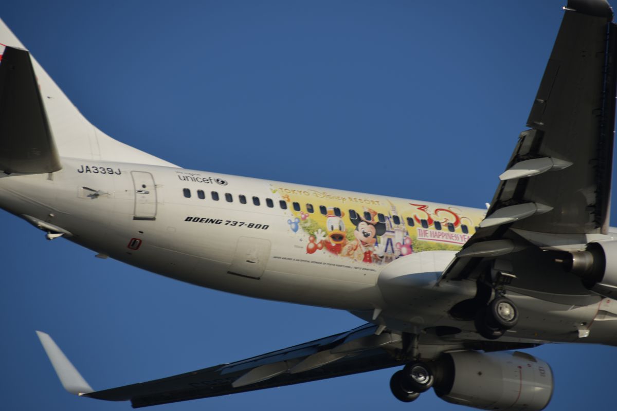 ディズニーな737-800 | GANREF