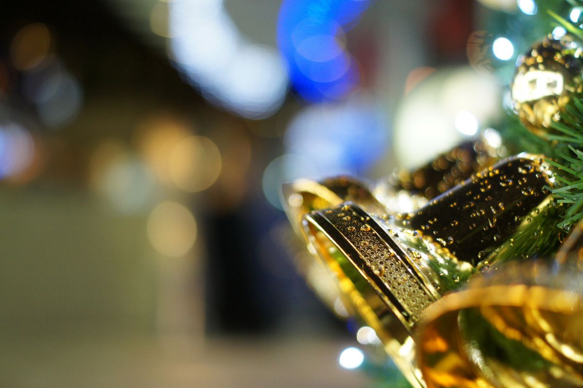 rainy-bells | GANREF