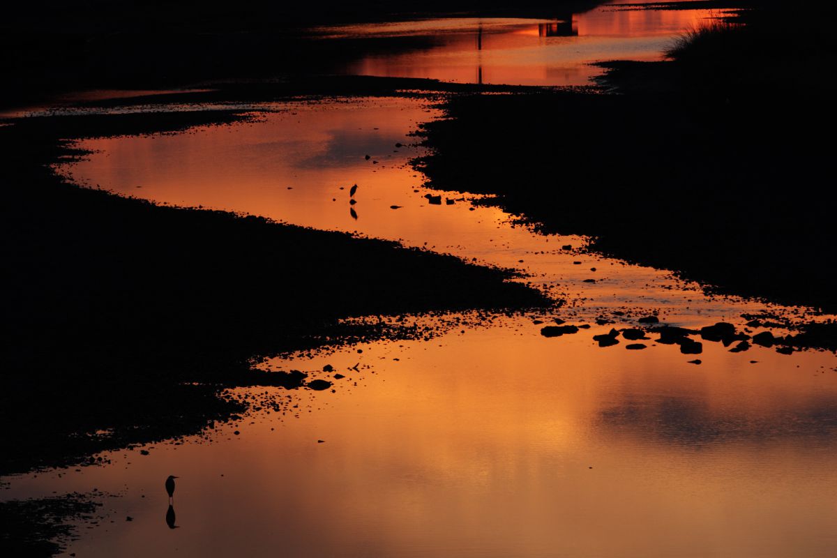 影絵の世界 | GANREF