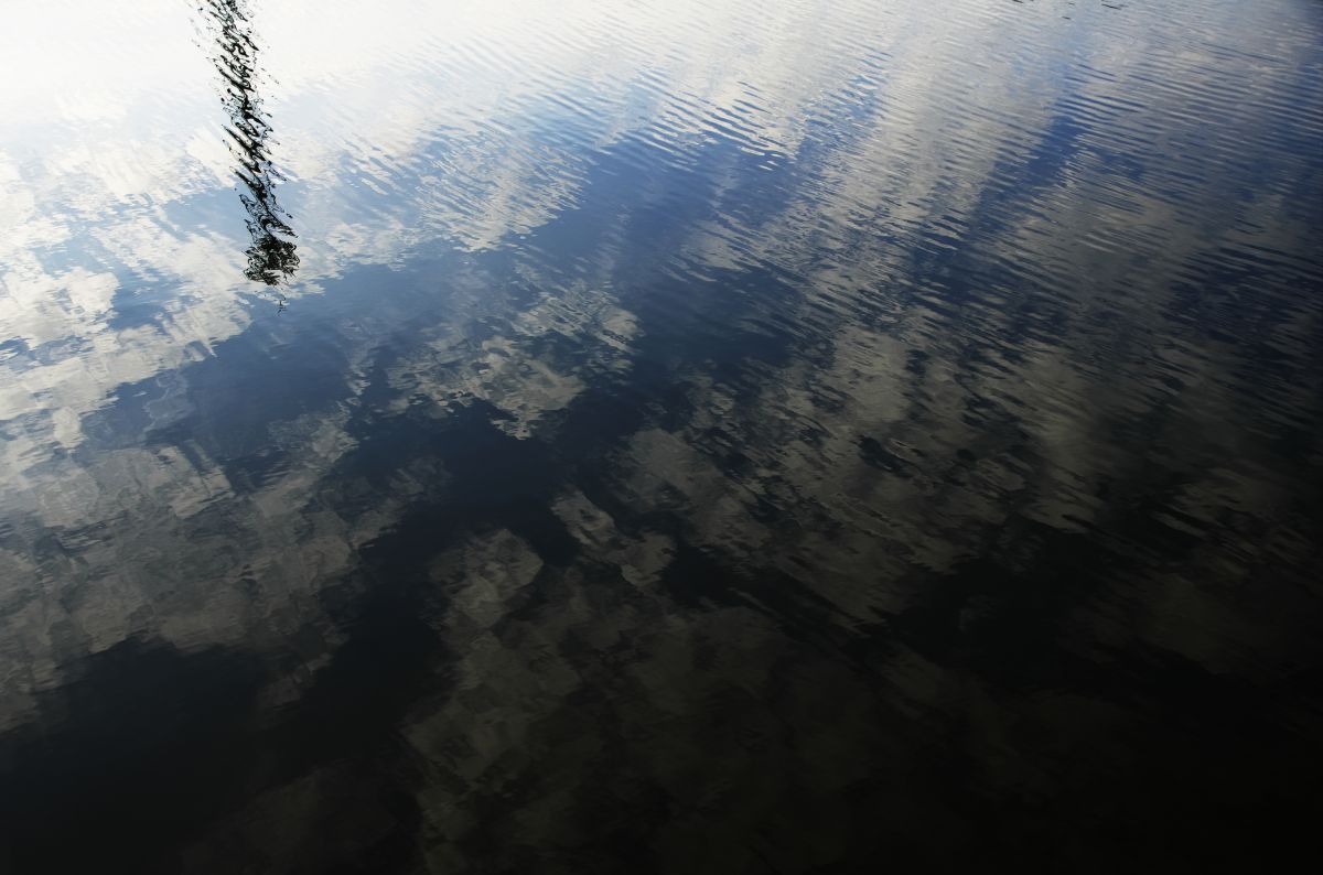 Out of focus Ⅶ...yuragi | GANREF