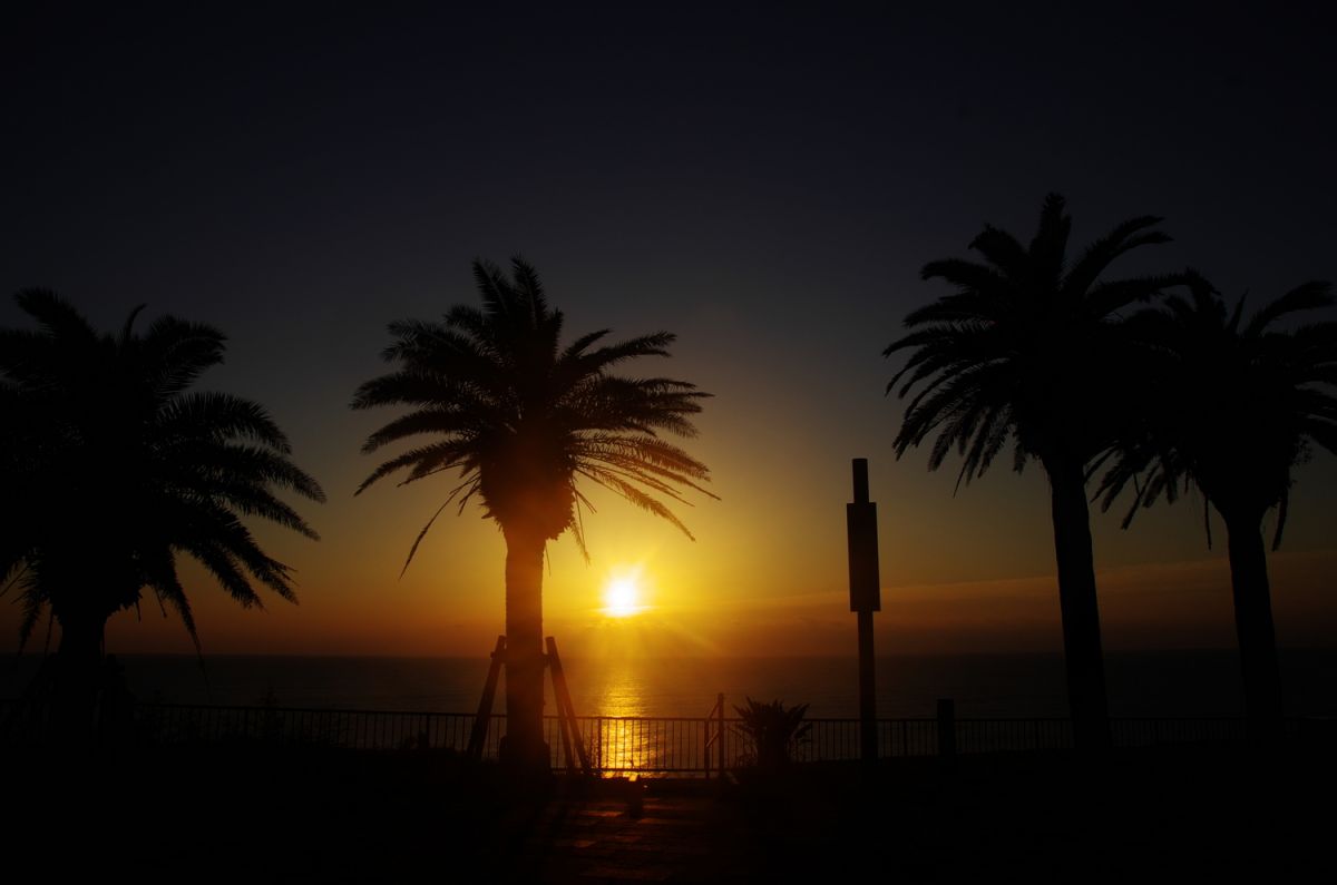 sunrise Ⅱ | GANREF