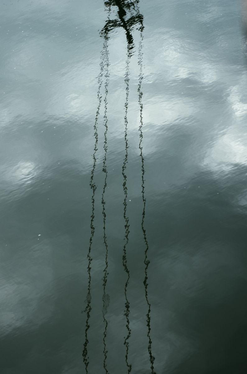 out of focus Ⅱ | GANREF