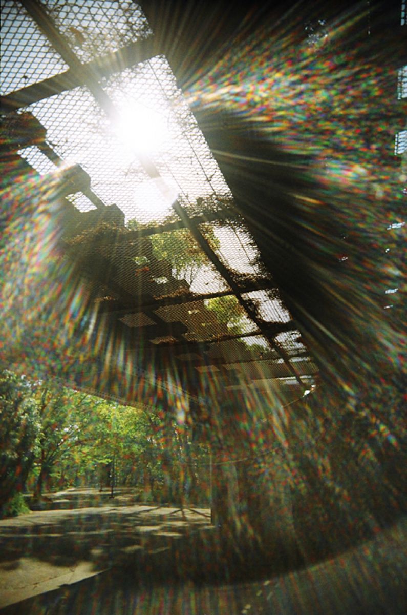 「Vivitar Ultra Wide&Slim」で撮ってみた | GANREF