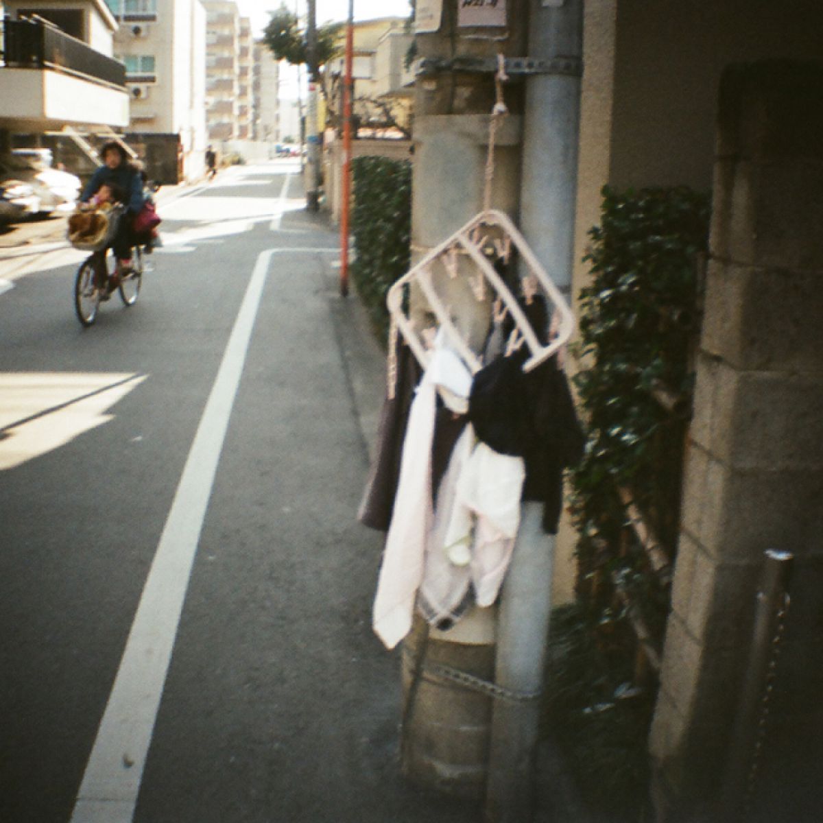 Diana Miniで撮ってみよう！_1 | GANREF