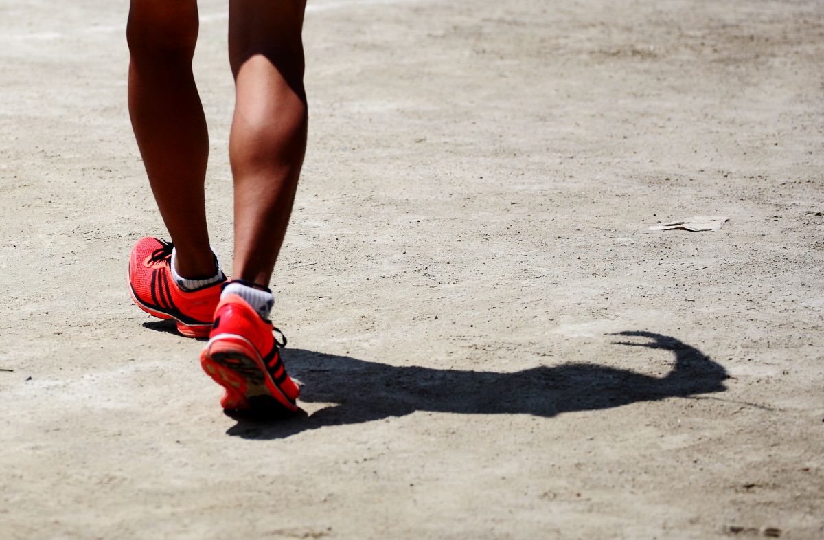 Scorpion shadow | GANREF