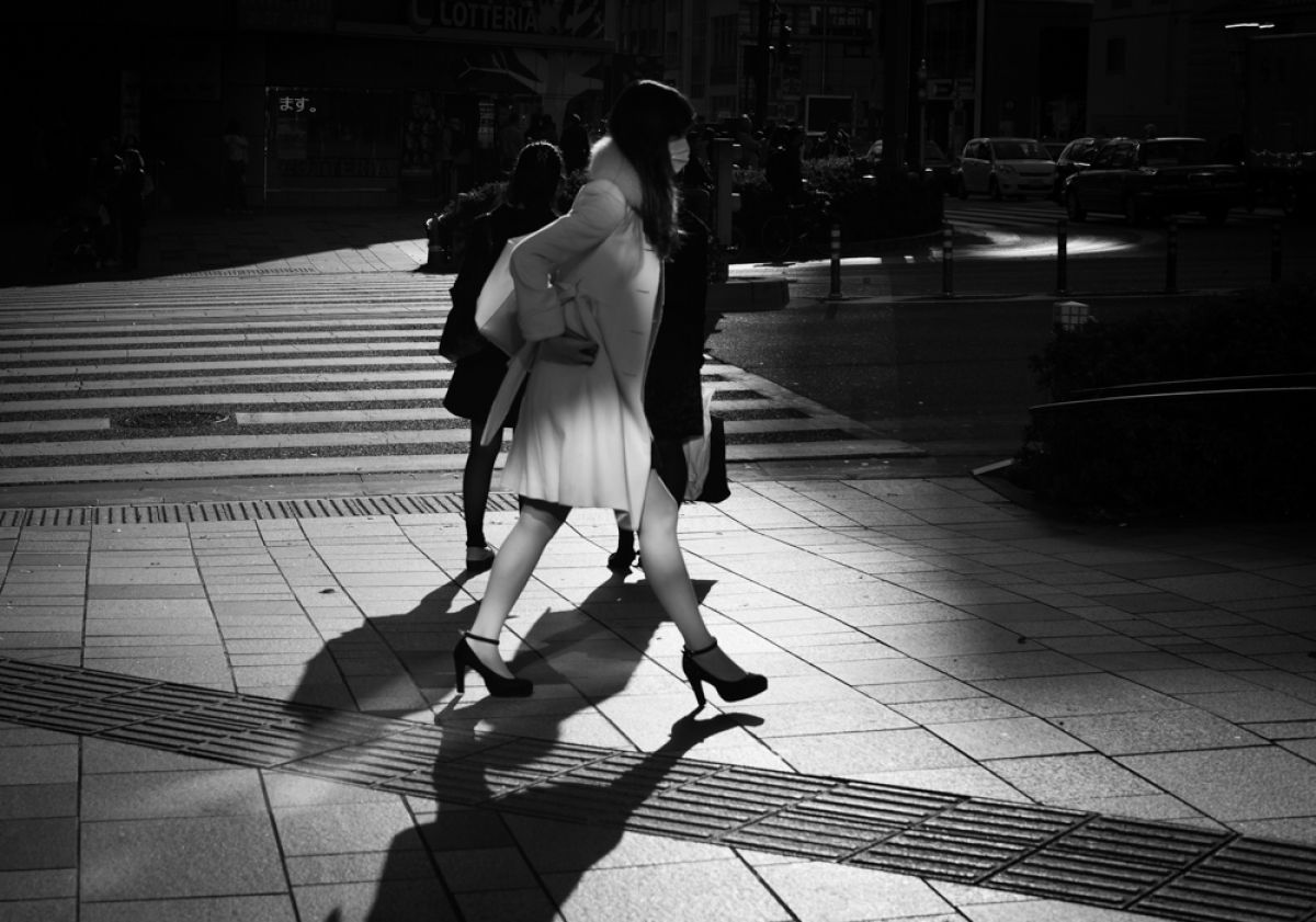 Light & Shadow | GANREF