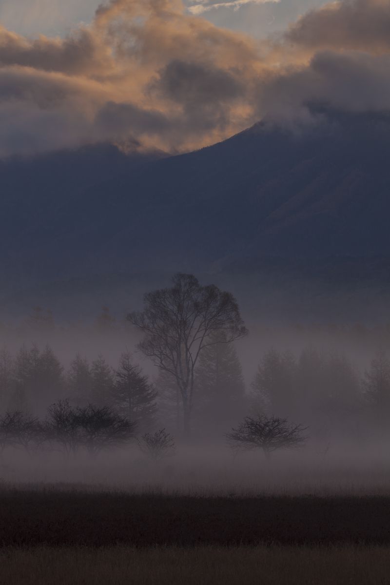 ベールを纏う | GANREF