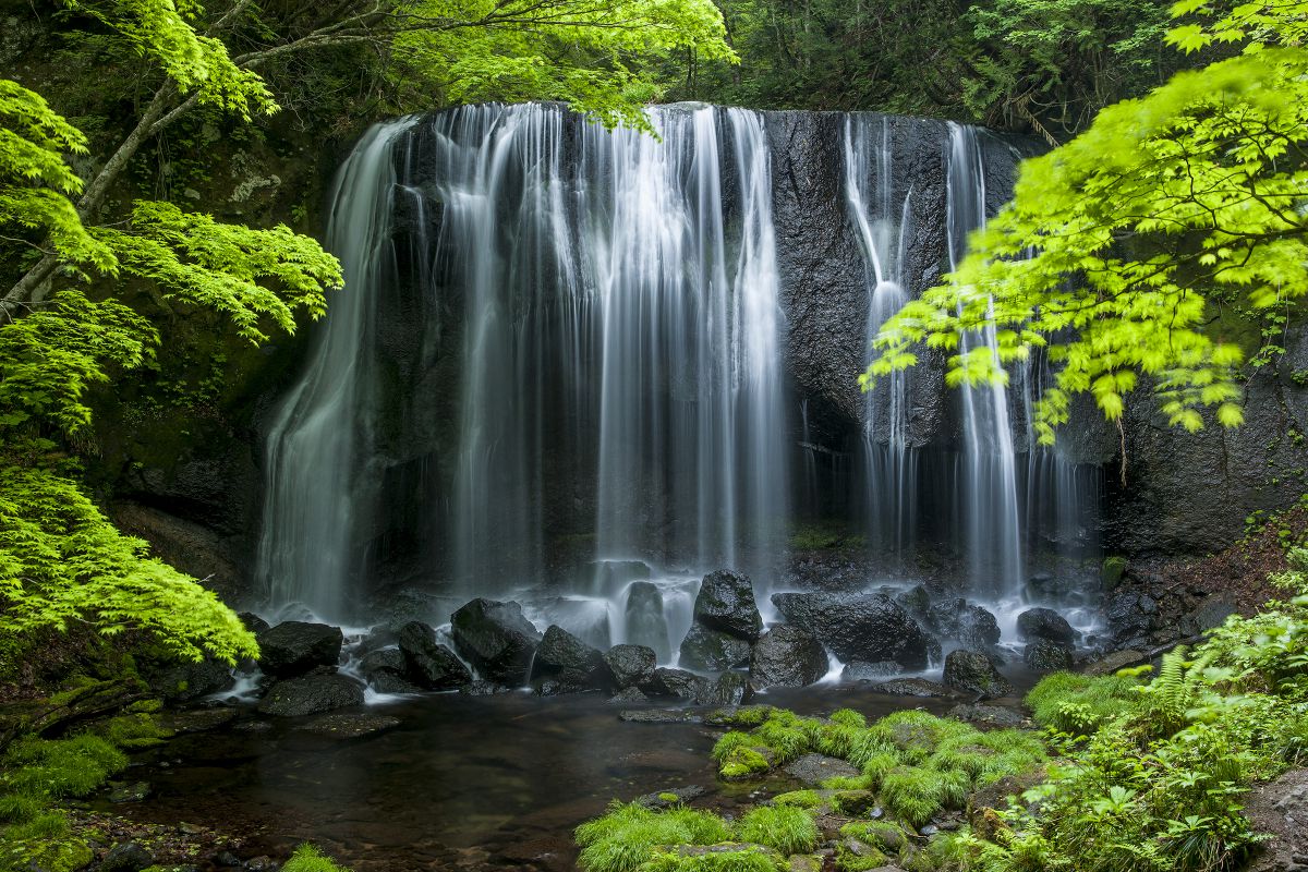 緑の中に | GANREF