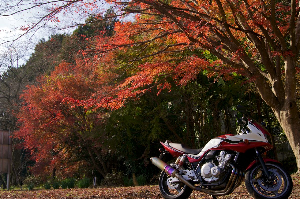 やわらかな時間 | GANREF