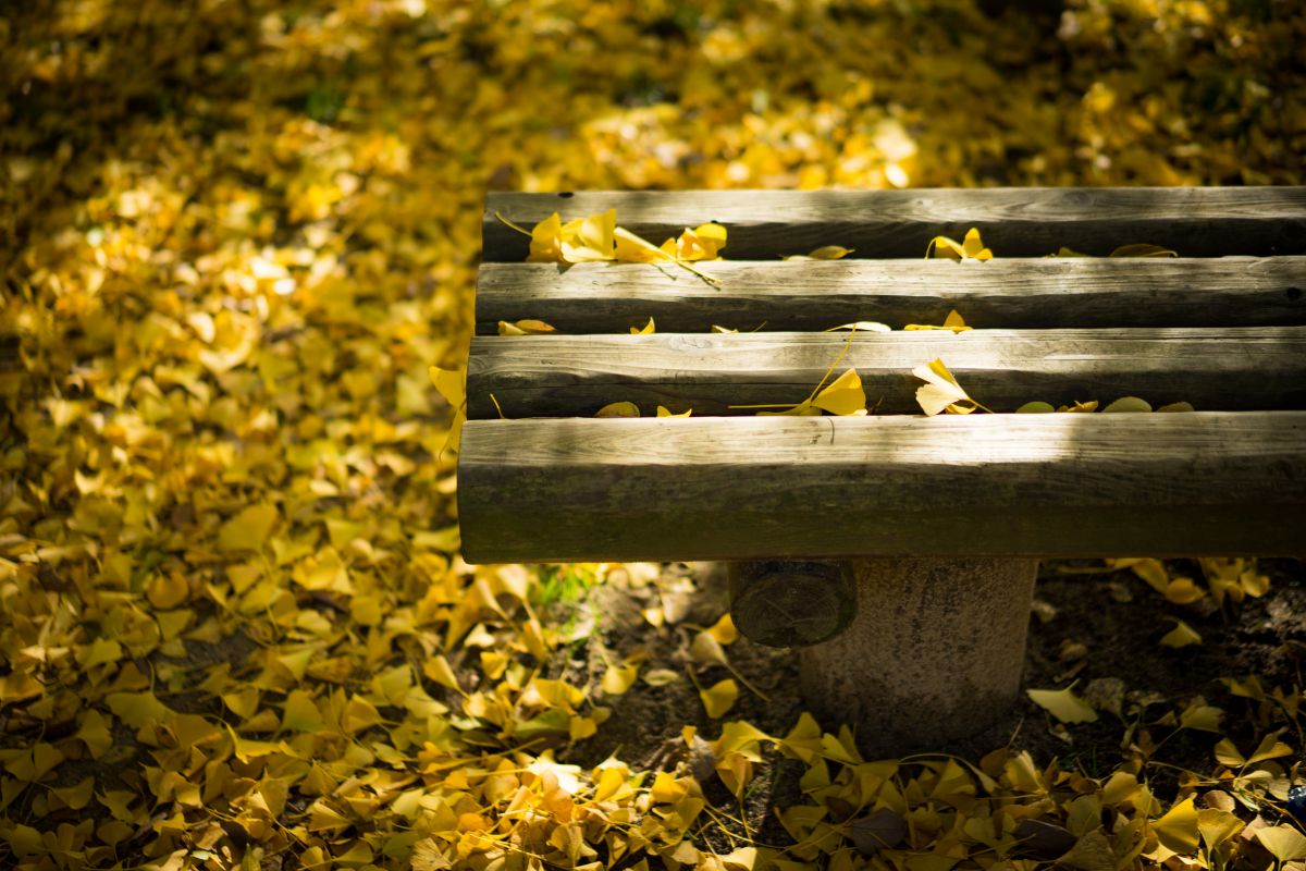 黄金に浮かぶ | GANREF