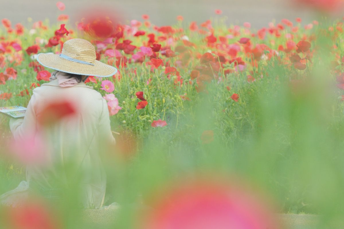 絵になりますね | GANREF