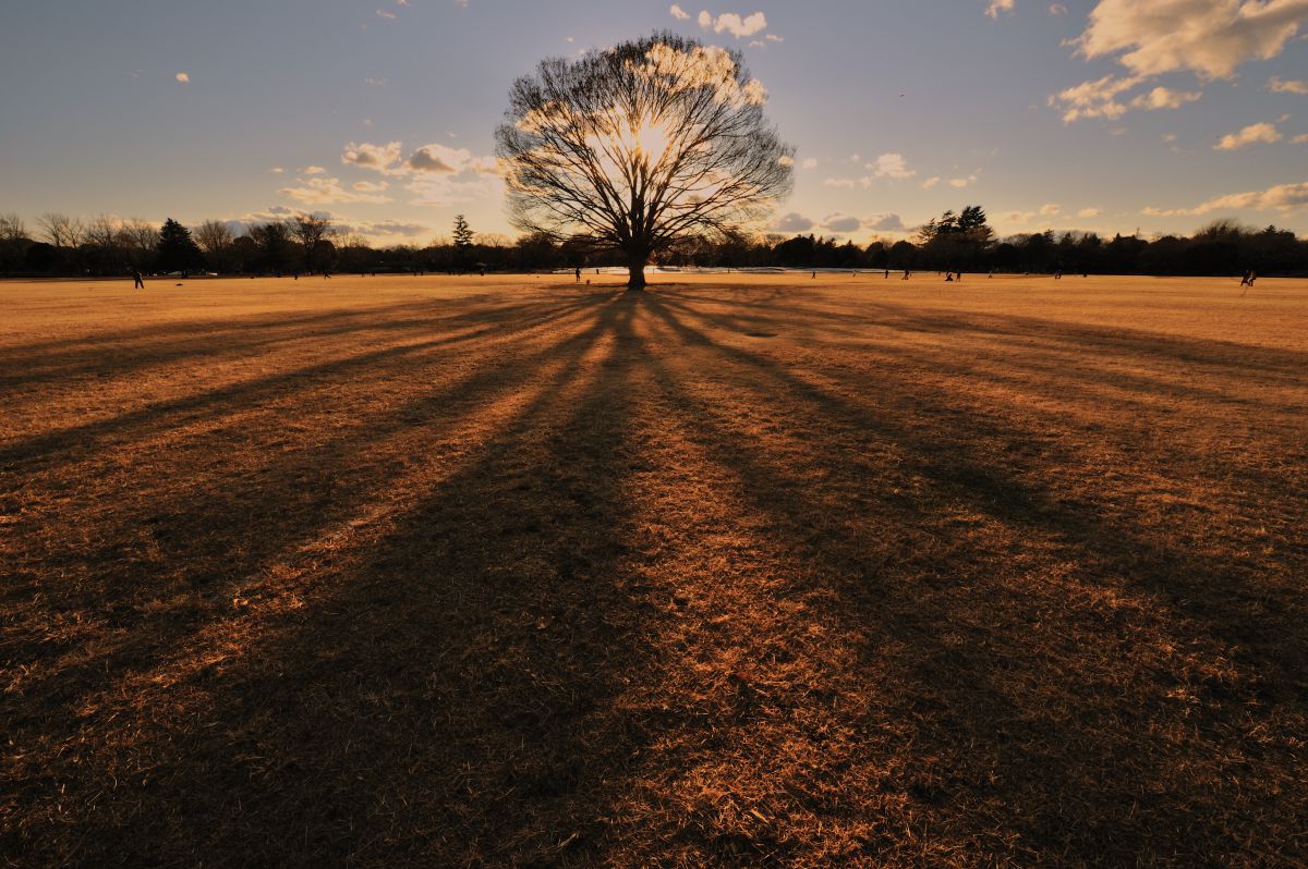 eight directions | GANREF