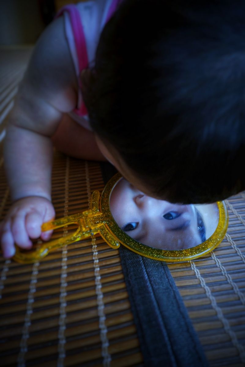 mirror over | GANREF