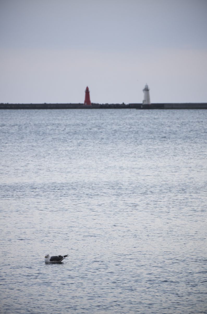 floating.... | GANREF