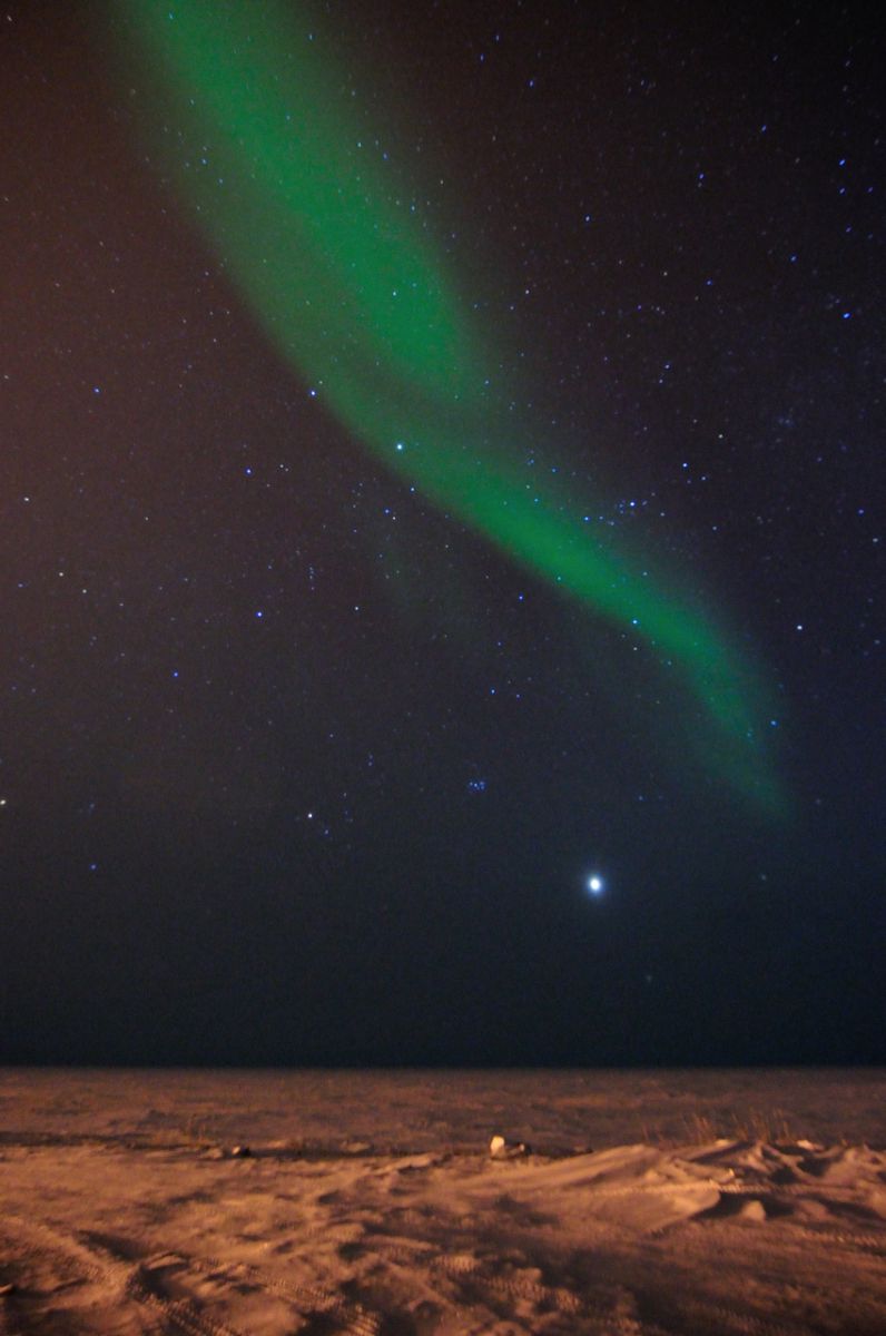 First contact | GANREF