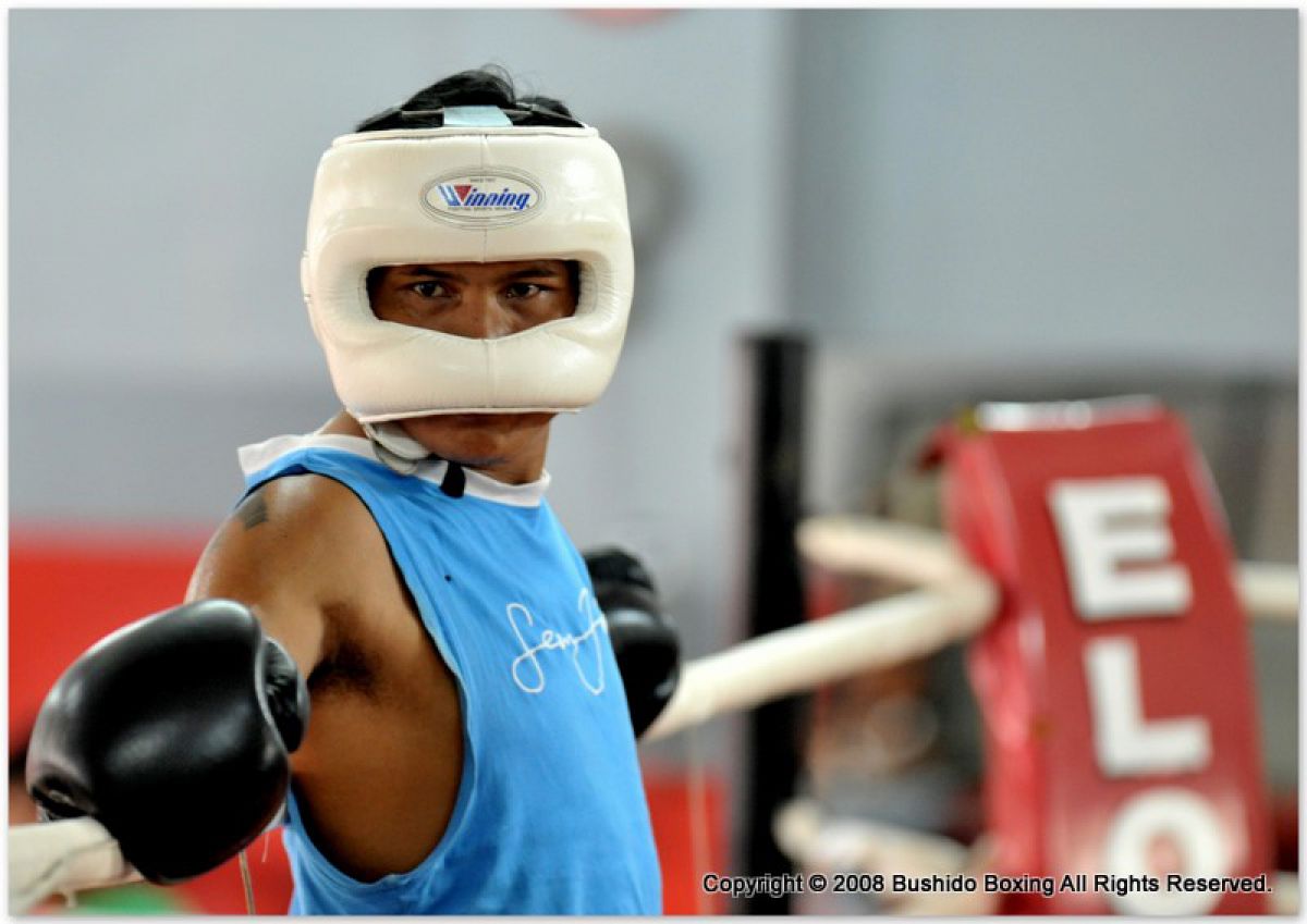 王者の眼差し | GANREF