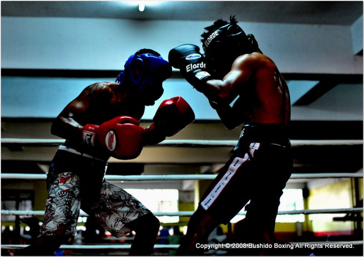 生き抜くために | GANREF