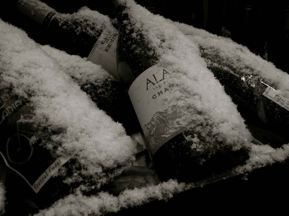 Yukimi Sake | GANREF