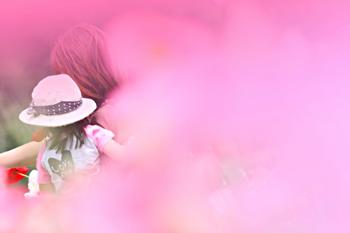 Pretty pink | GANREF