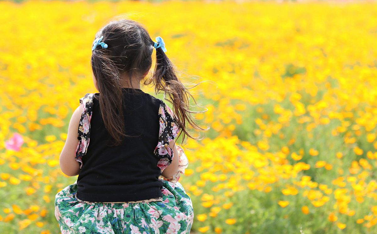 光のMelody♪ | GANREF