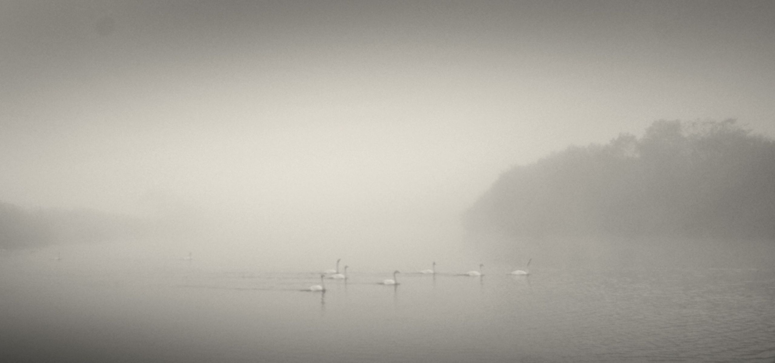 Quiet Light 003 | GANREF