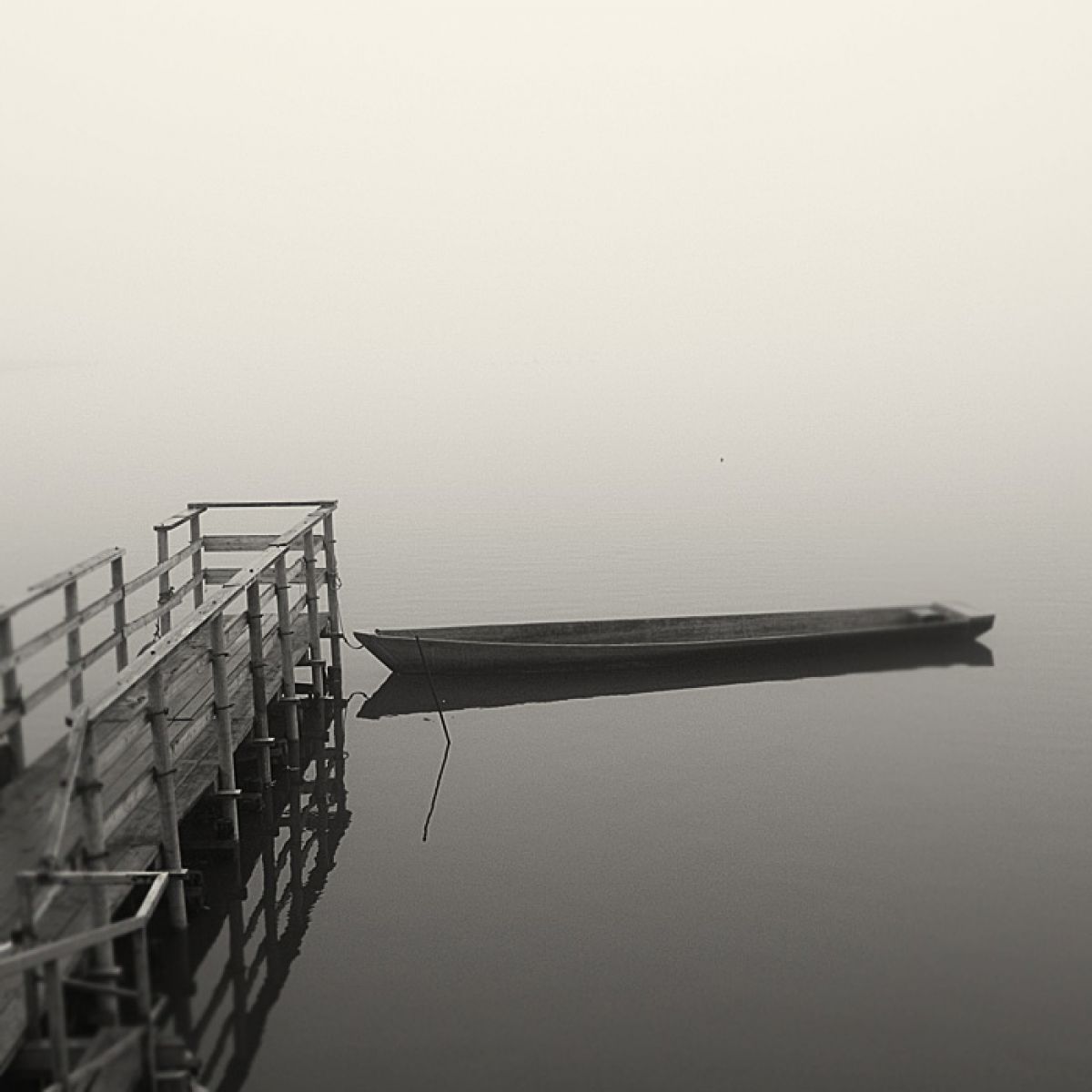 Izunuma 007 | GANREF