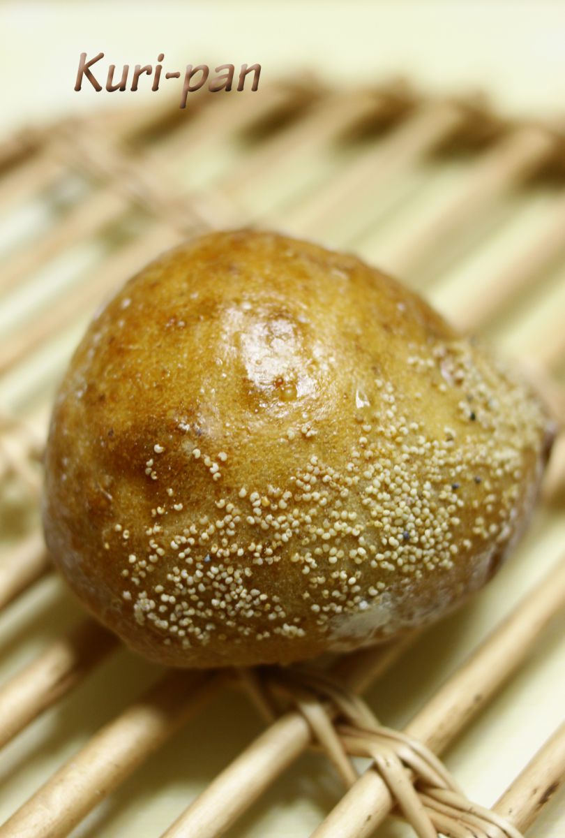 秋ですね part3 | GANREF