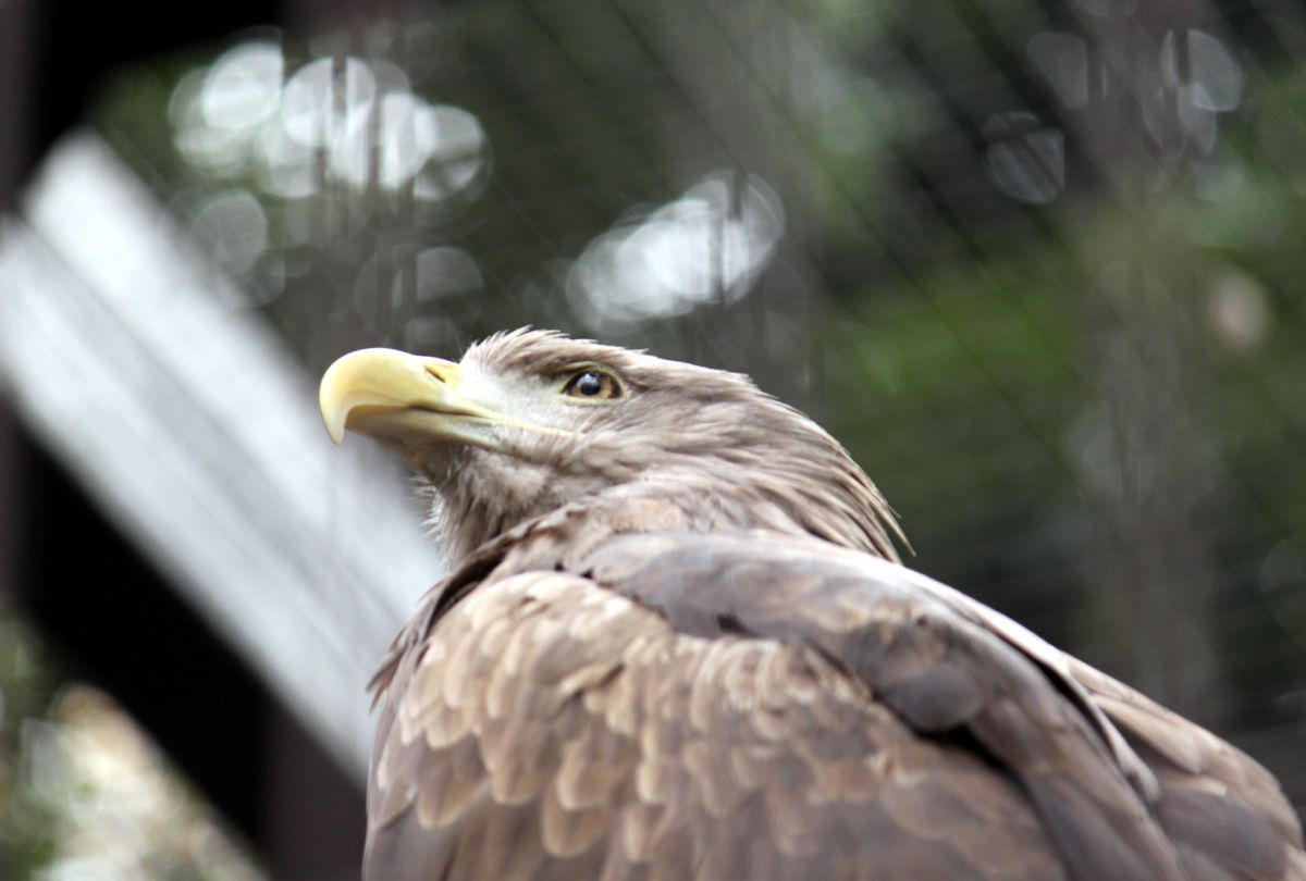 見上げる先には | GANREF