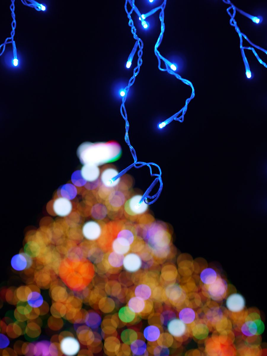 Illuminations | GANREF