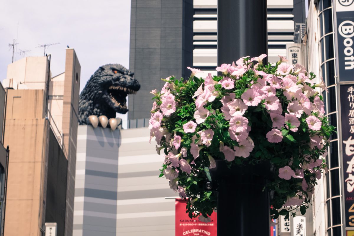 花‎GODZILLA | GANREF