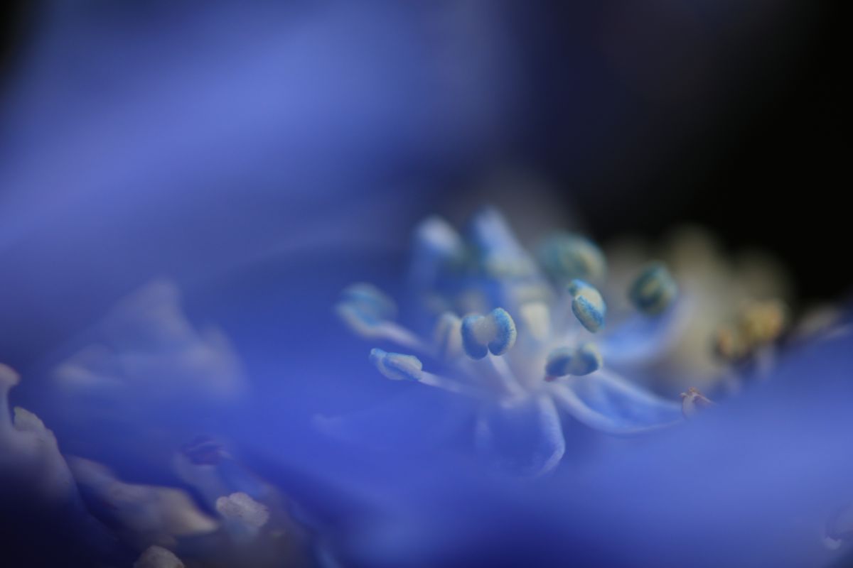 blue filter | GANREF