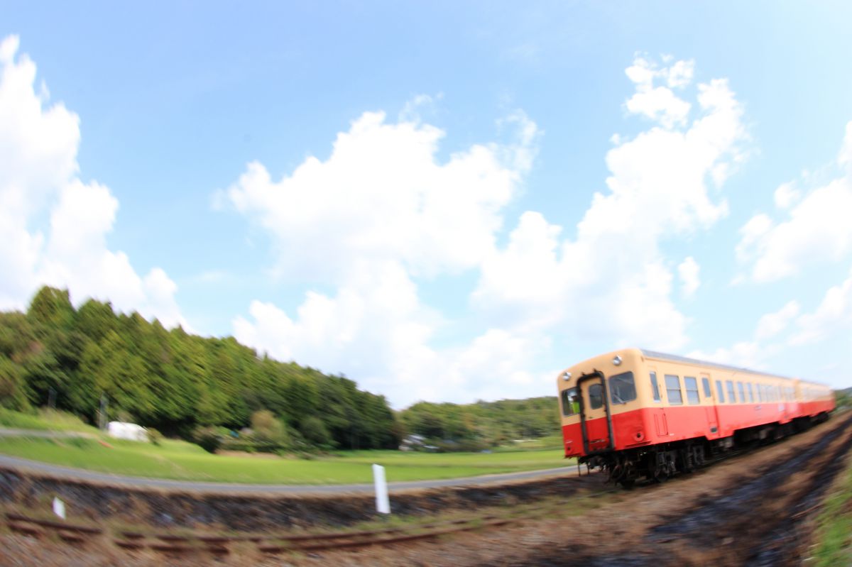 FISHEYE 〜VOL.2 DL入り | GANREF