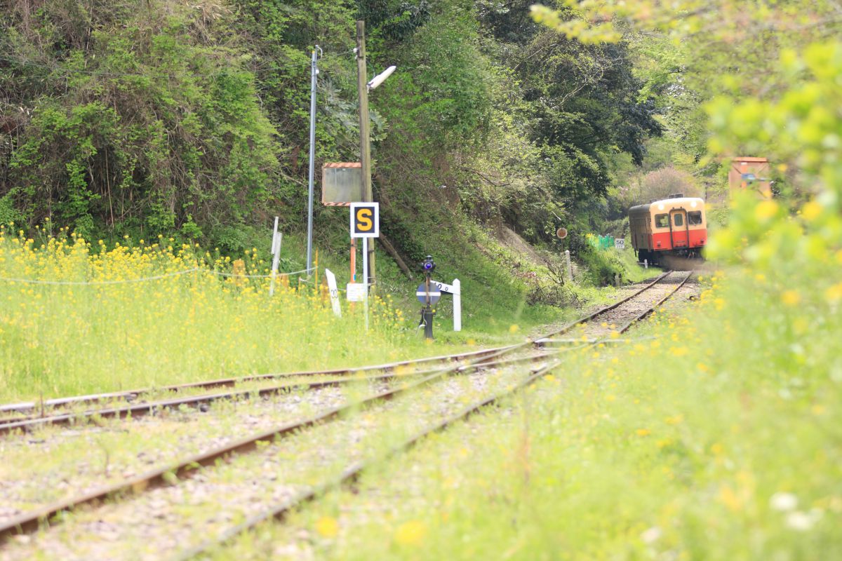 小湊鐵道2ndシーズン | GANREF