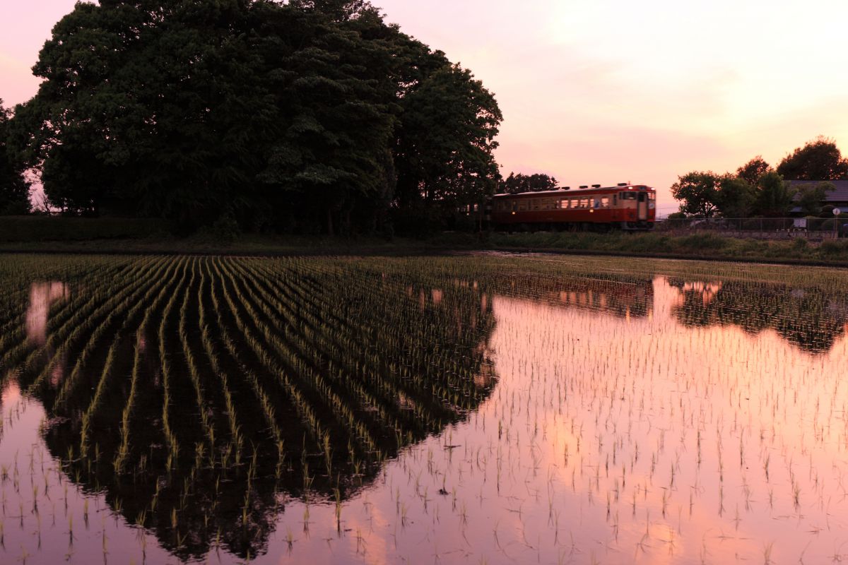 See you soon！ | GANREF