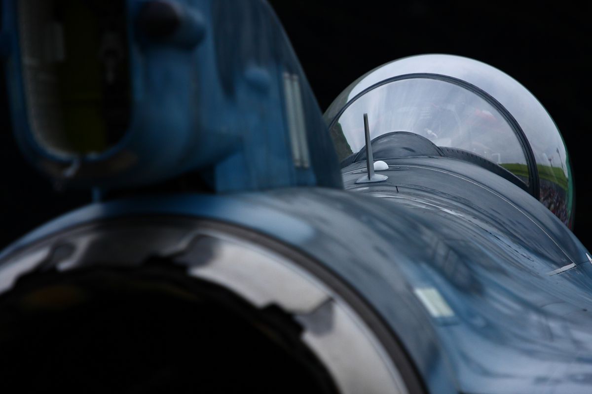 GLAMOROUS VIPER | GANREF