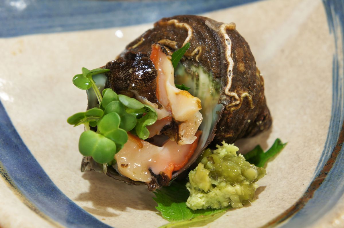 [NEX-5] サザエさん | GANREF