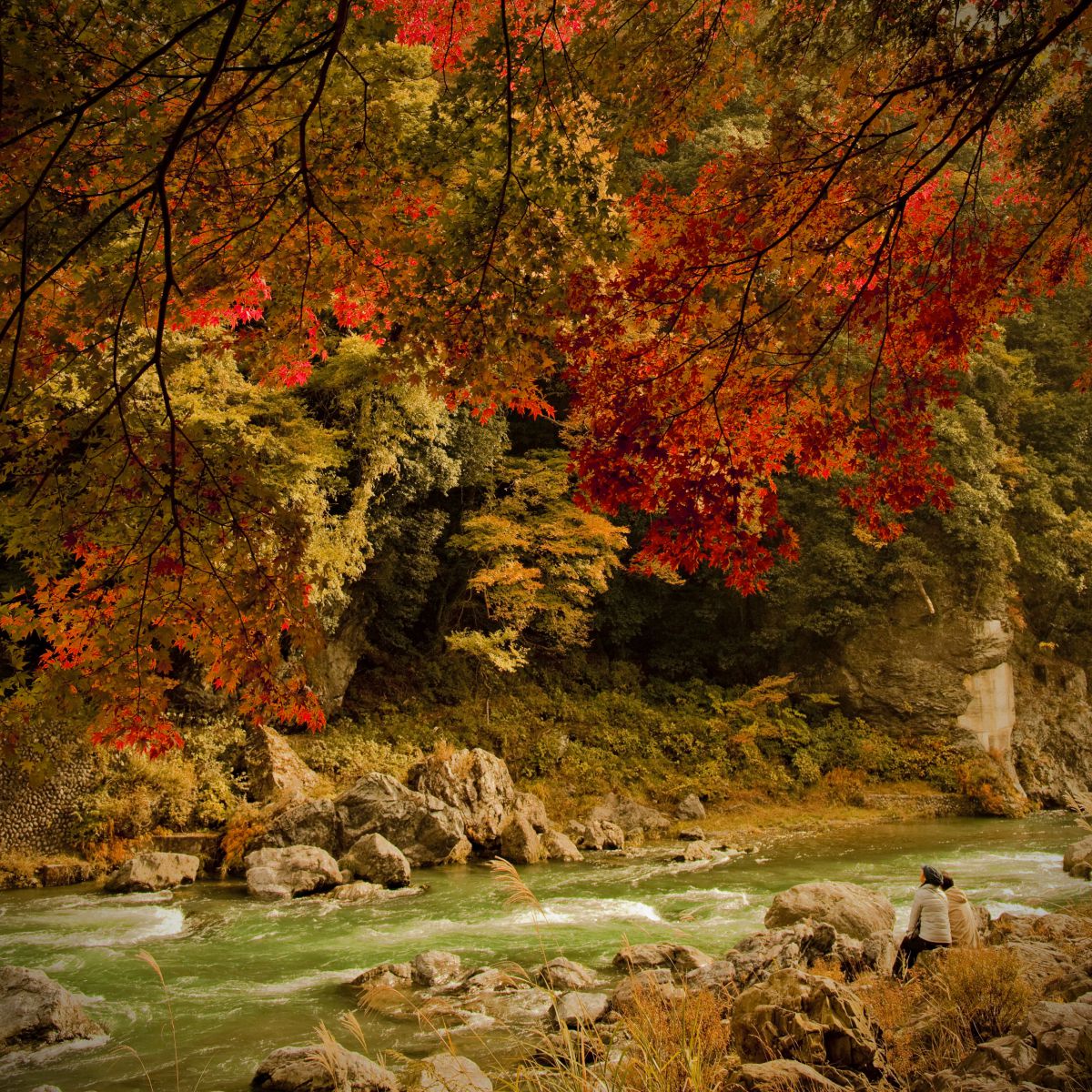 深まる・・・ | GANREF