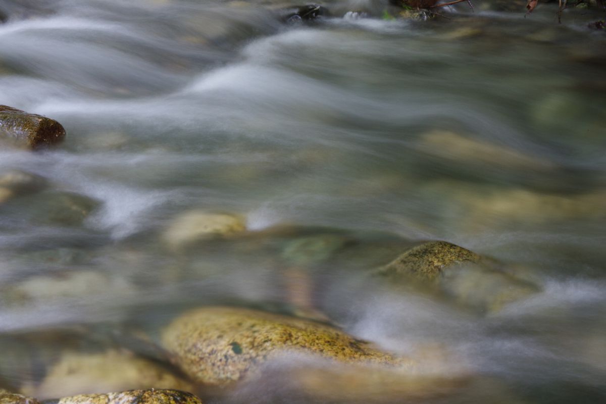 人任せ（ただ流されて） | GANREF