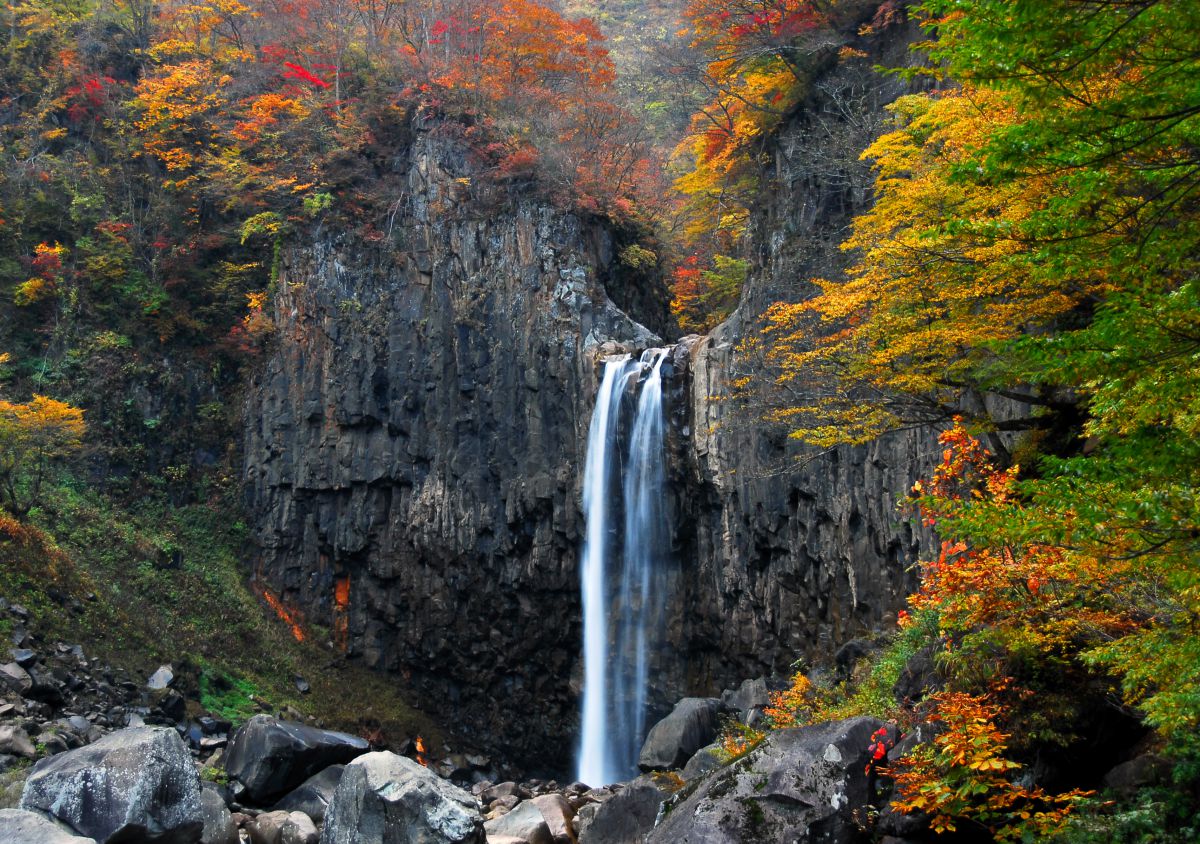 錦に包まれて | GANREF