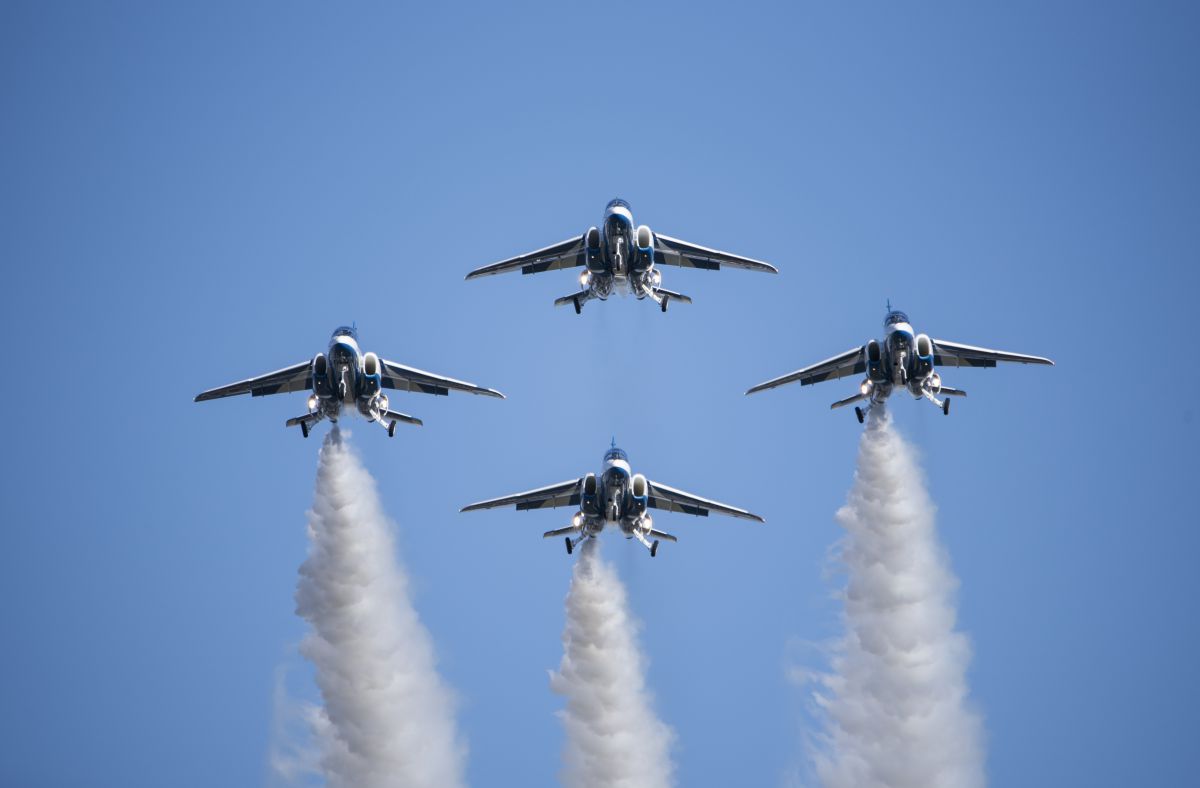 Blue flight! | GANREF