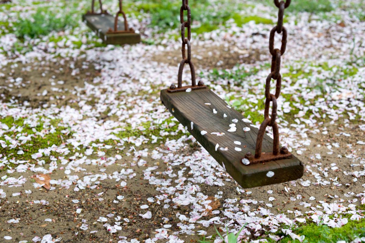 さくらブランコ | GANREF