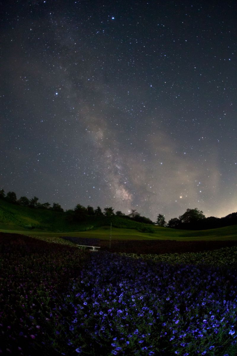 Midnight XX：XX | GANREF