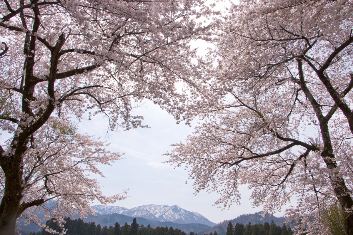 Spring Gate | GANREF