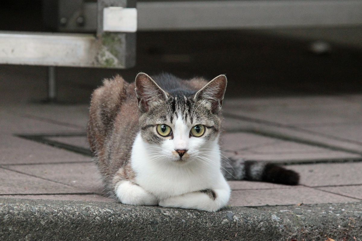 ふ～ん、それで？ | GANREF